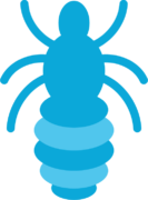 Lice vs. Ticks vs. Fleas: Understanding the Differences | Lice Removal ...