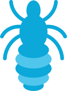 Lice vs. Ticks vs. Fleas: Understanding the Differences | Lice Removal ...